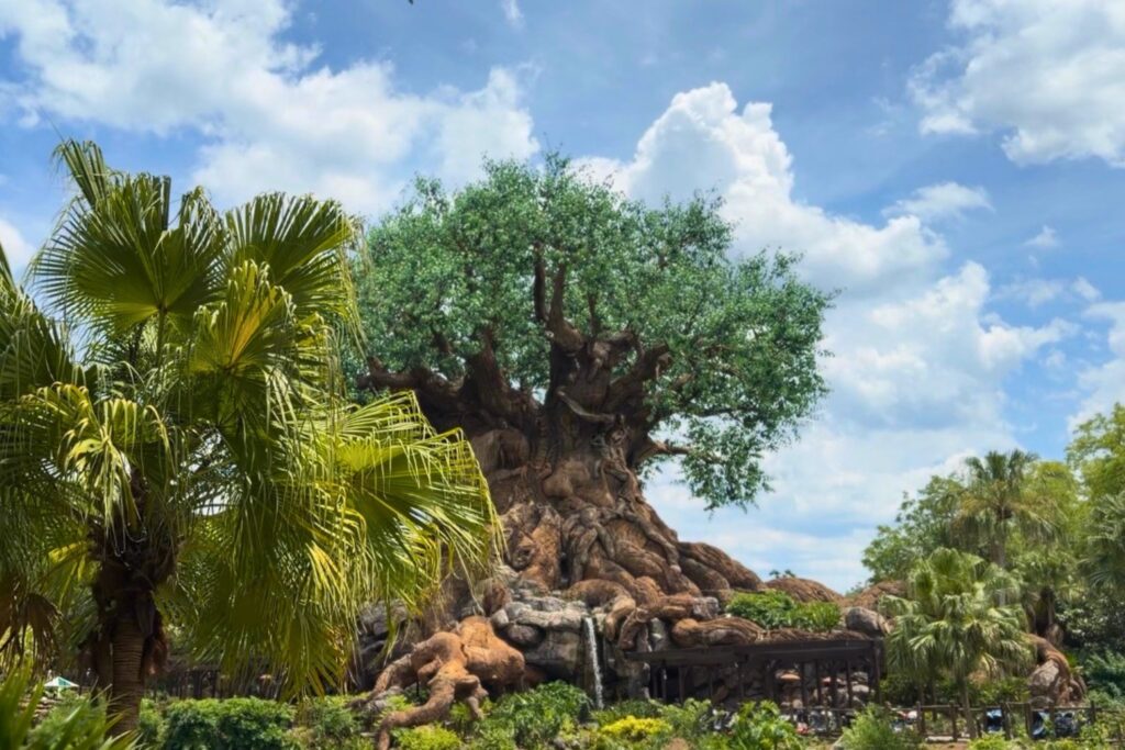 The Quiet Corners of Animal Kingdom Most People Walk Past - Disney Dally