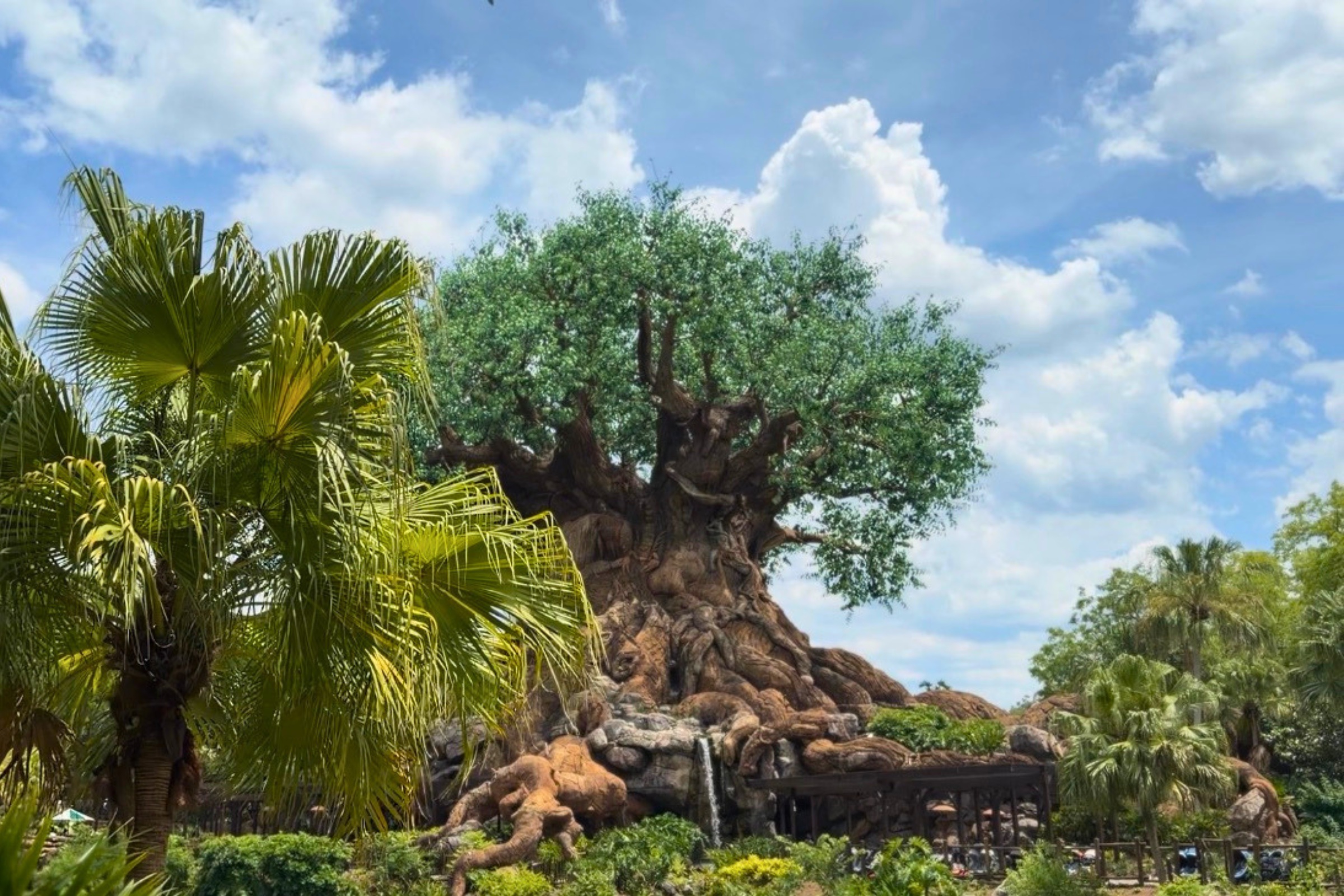 The Quiet Corners of Animal Kingdom Most People Walk Past - Disney Dally